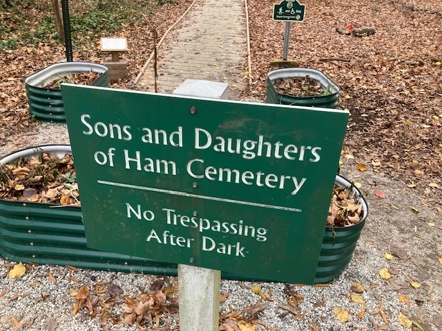 Learning To Wattle At The Sons and Daughters of Ham Cemetery – might be ...
